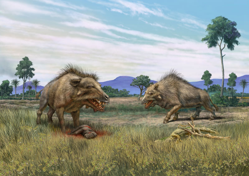 Prehistoric animals - Rudolf Farkas illustrator and painter