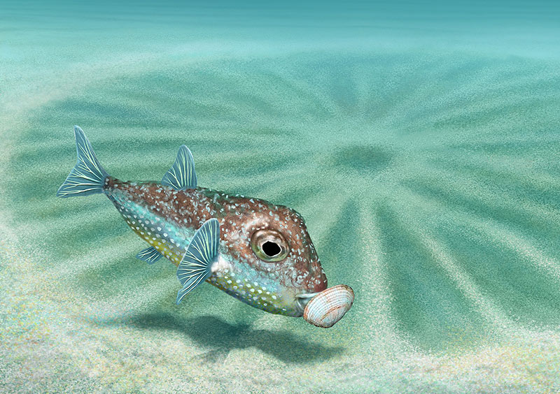 Animals - Rudolf Farkas illustrator and painter