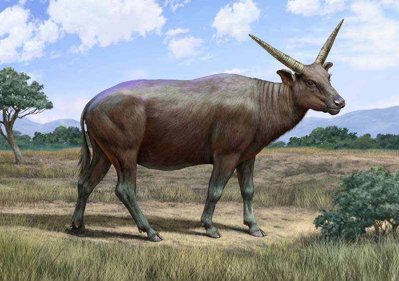 Prehistoric animals - Rudolf Farkas illustrator and painter